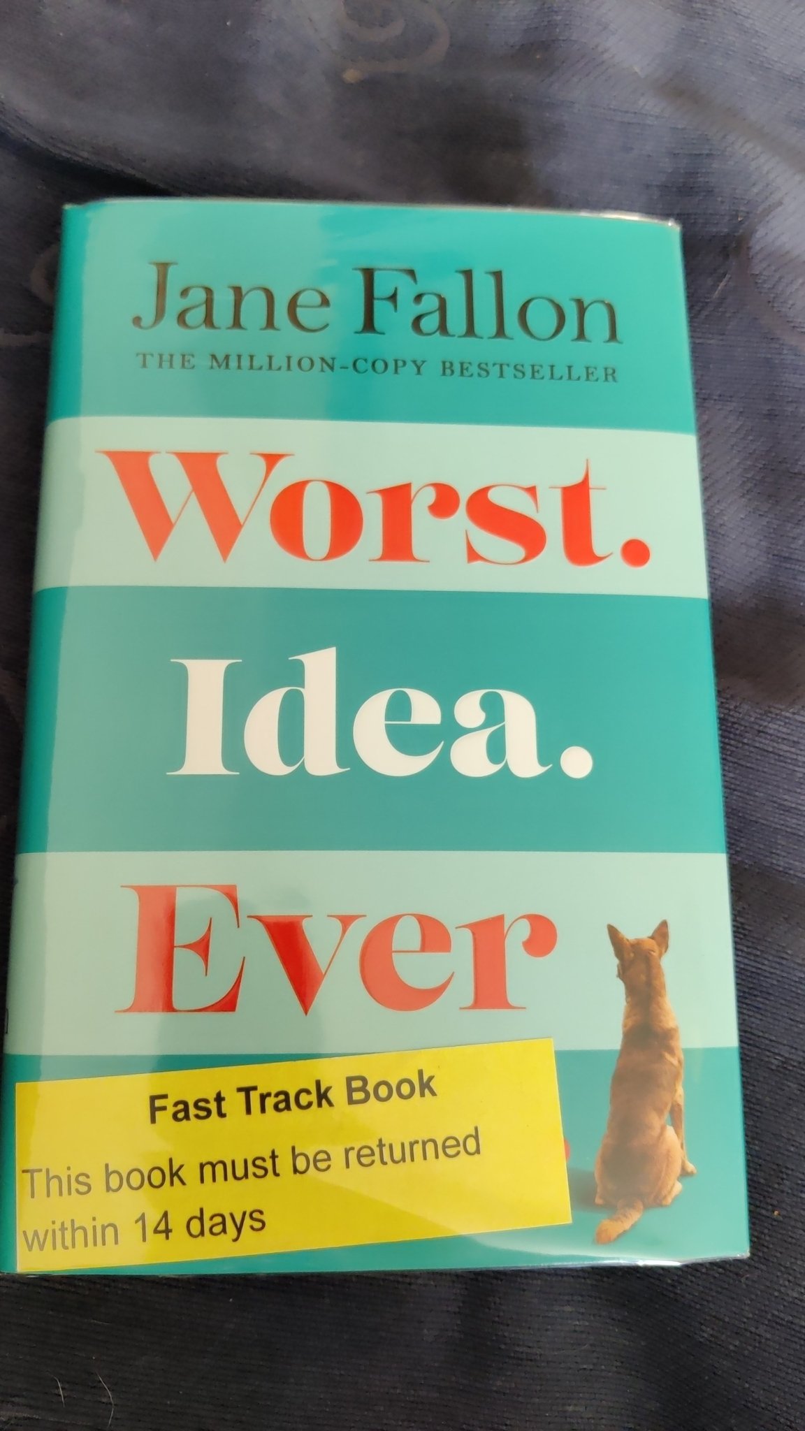 Book Review: Worst Idea Ever by Jane Fallon – Becky's Book Blog
